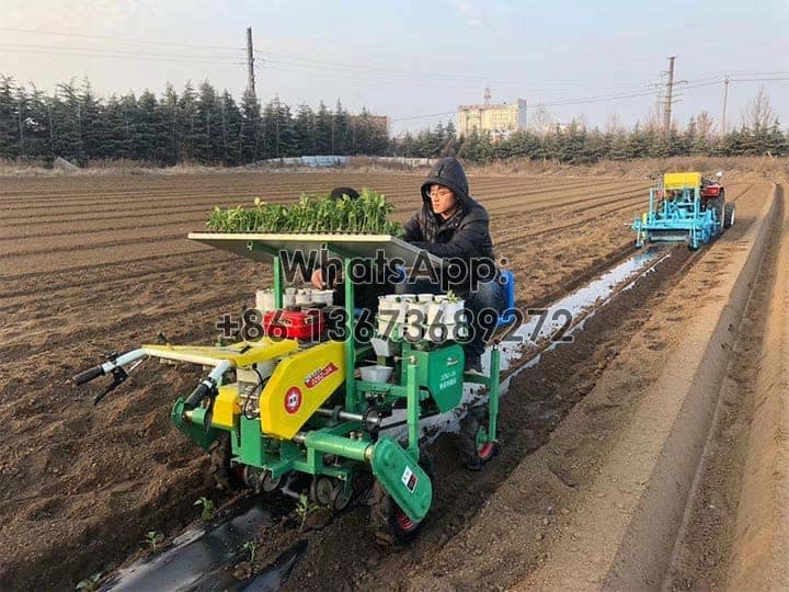 Vegetable Transplanter | Transplanting Seedlings of Onion, Tomato, Melon