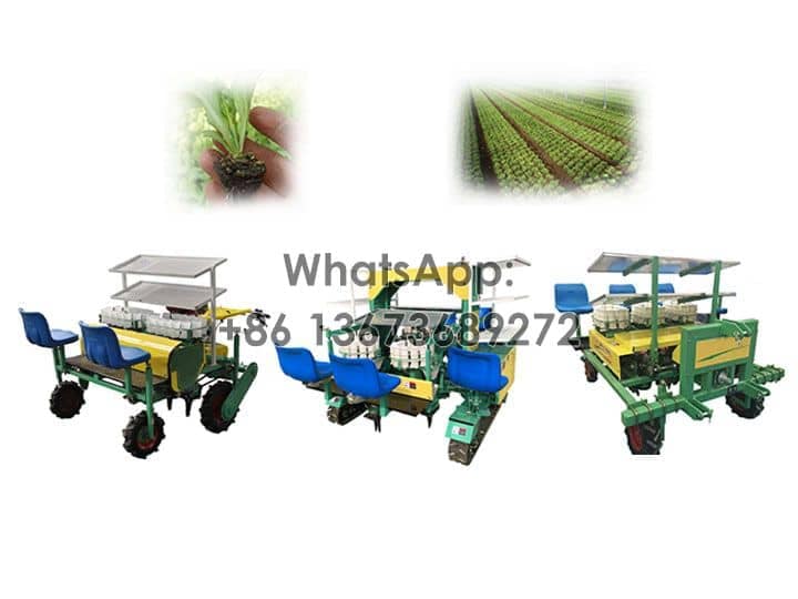 Vegetable Transplanter | Transplanting Seedlings of Onion, Tomato, Melon